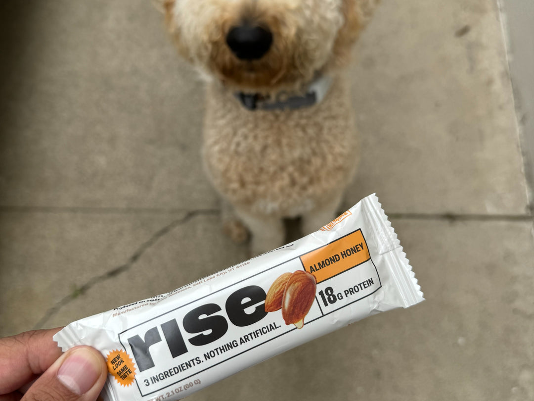 The Rise Bar Blog | Healthy Recipes, Stories, & Lifestyle Tips