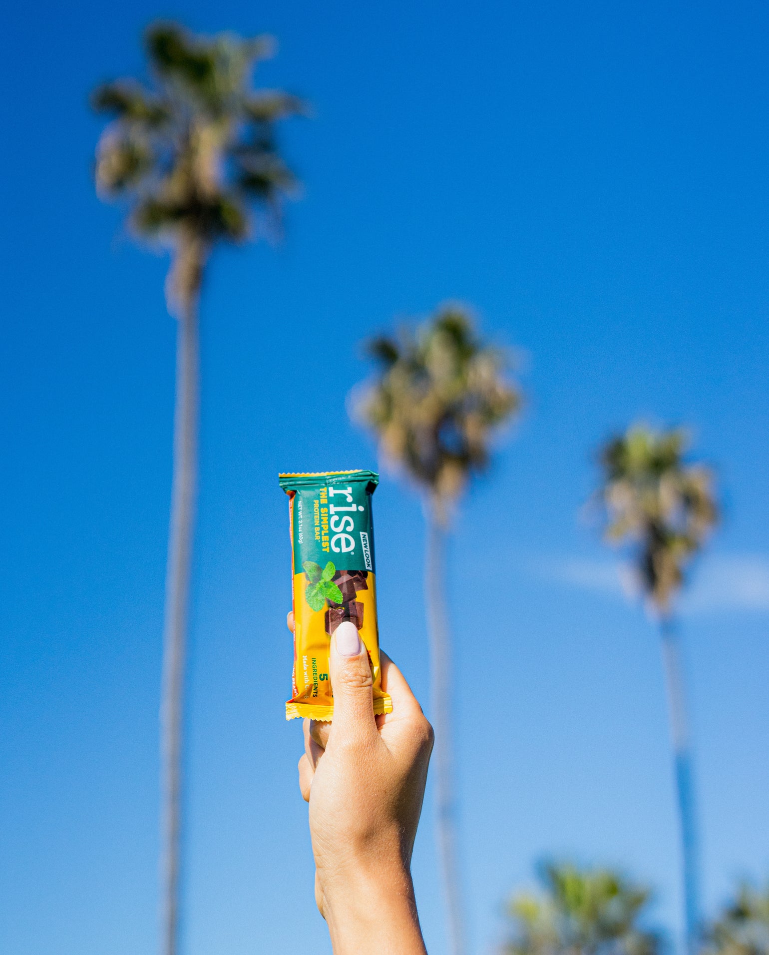 The Top 5 Benefits of Eating Protein Bars – Rise Bar