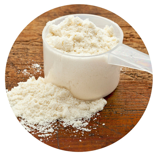 3 Different Types of Whey Protein and What They Do – Rise Bar