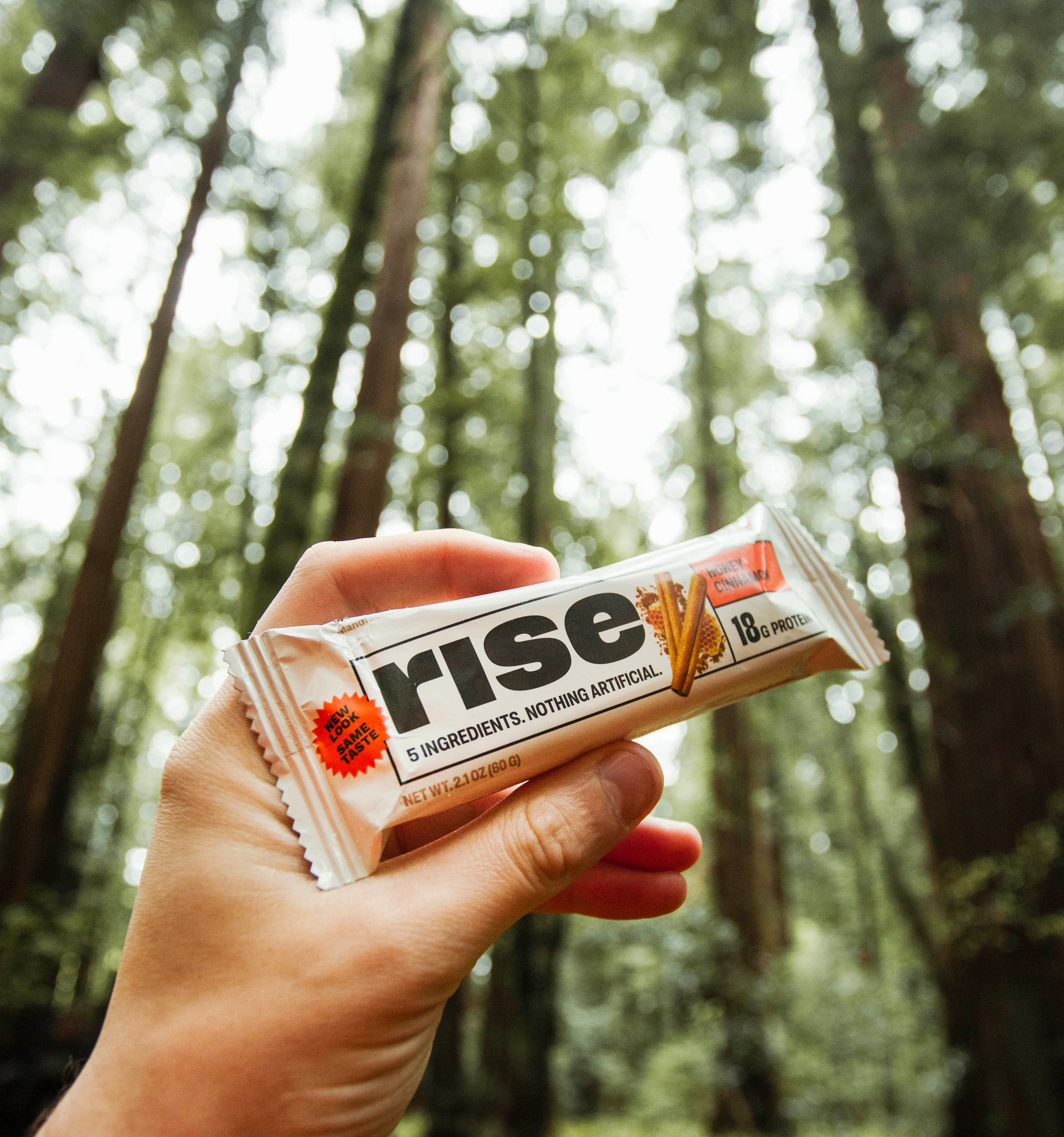 The Best Plant-Based, Vegan & Whey Protein Bars – Rise Bar